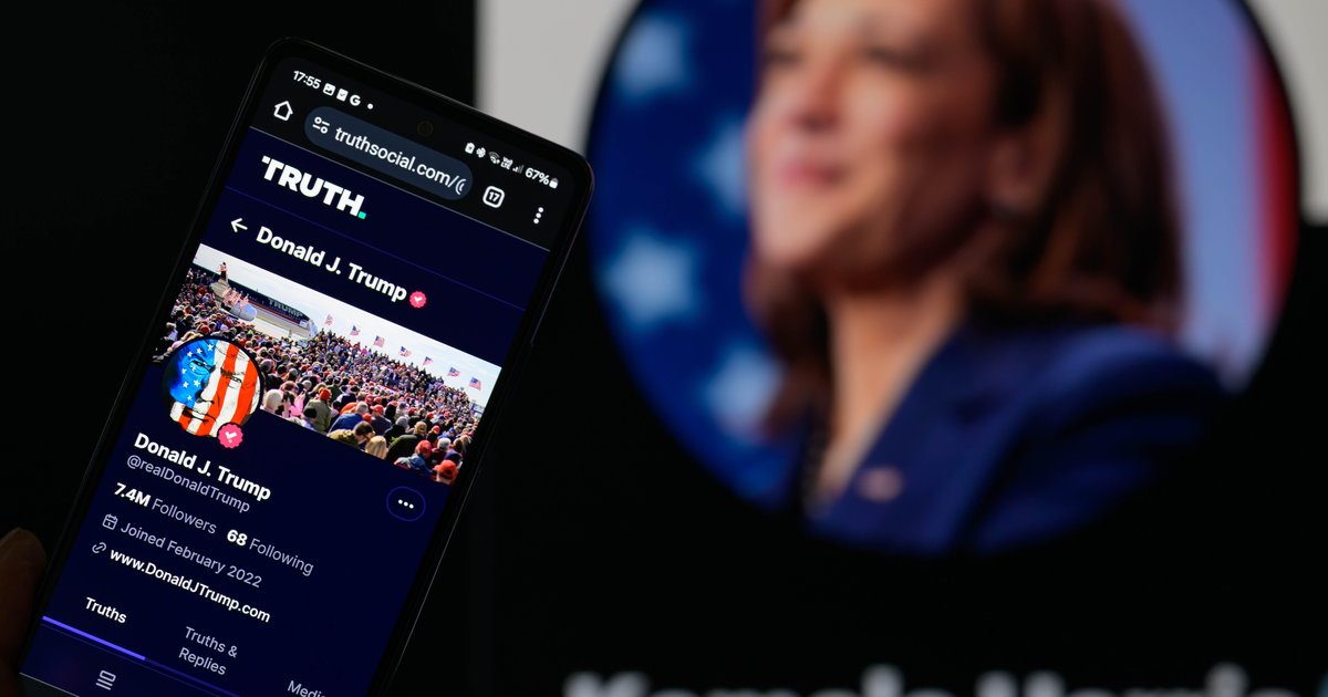 Partisan bot-like accounts amplify divisive content on X | Global Witness