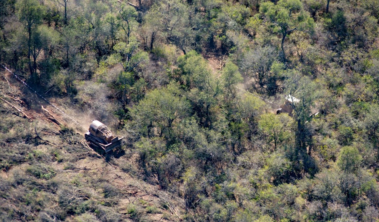 Santander backed deforester Cresud despite net zero pledge | Global Witness