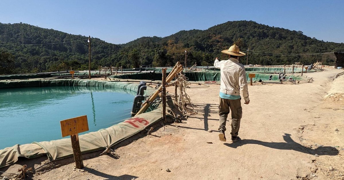 Myanmar’s rare earth boom | Global Witness